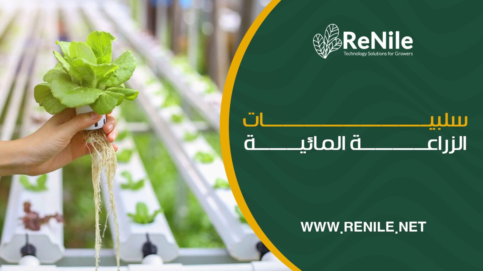 ReNile - Best Solutions for your farm