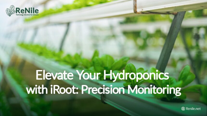 ReNile - Best Solutions for your farm