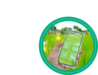 ReNile - Best technical solutions for fish farms