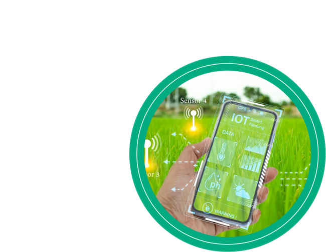 ReNile - Best technical solutions for fish farms