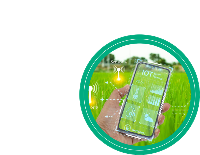 ReNile - Best technical solutions for fish farms